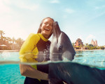 Swim with Dolphins at Atlantis: A Magical Experience in Dubai